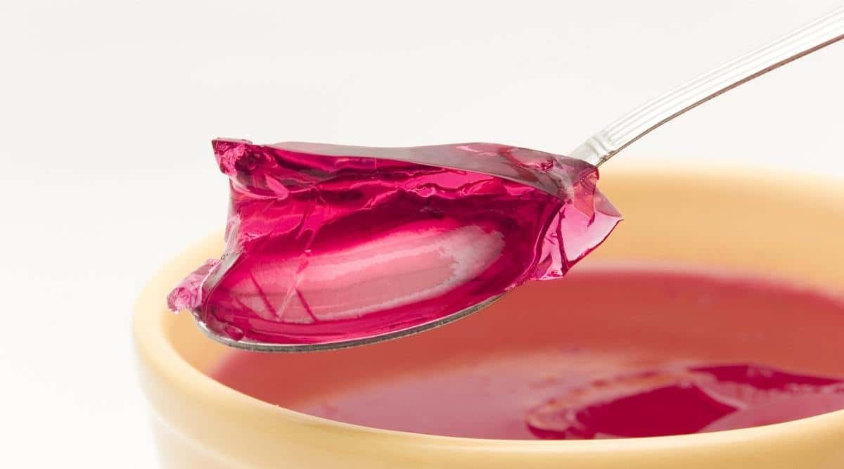 Can Cats Eat Jello Or Types Of Gelatin? - Love Your Cat