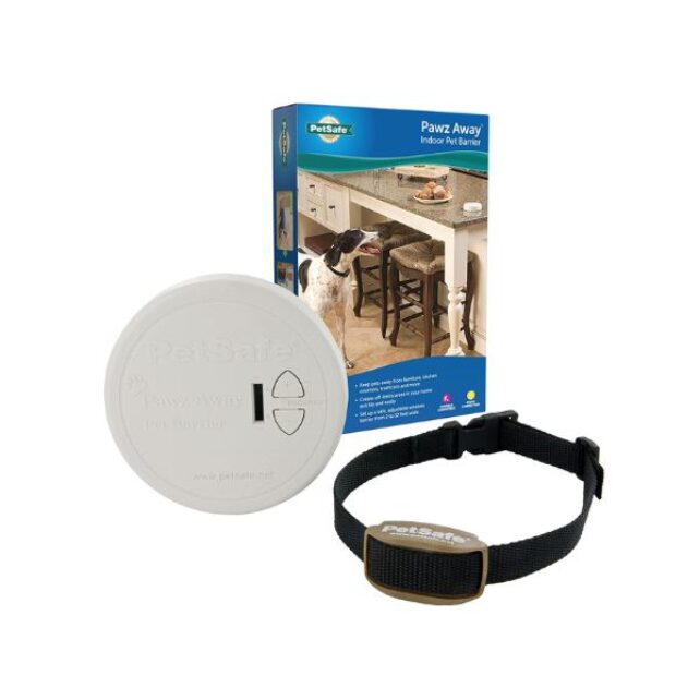 The Best Shock Collars For Cats (& When It's Safe To Use Them) - Love ...