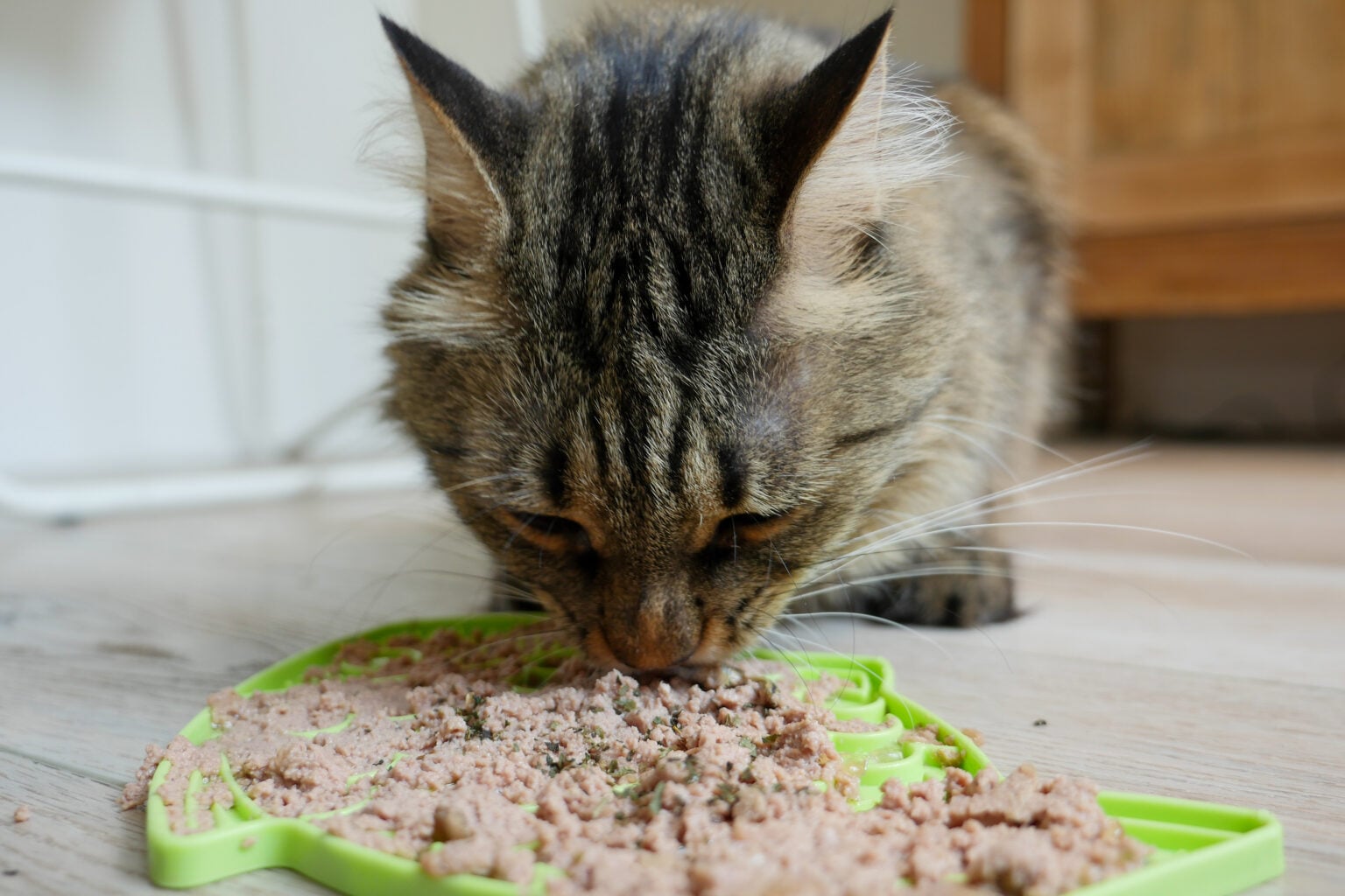 Say Goodbye To Hairballs: Top 7 Foods That Actually Help - Love Your Cat