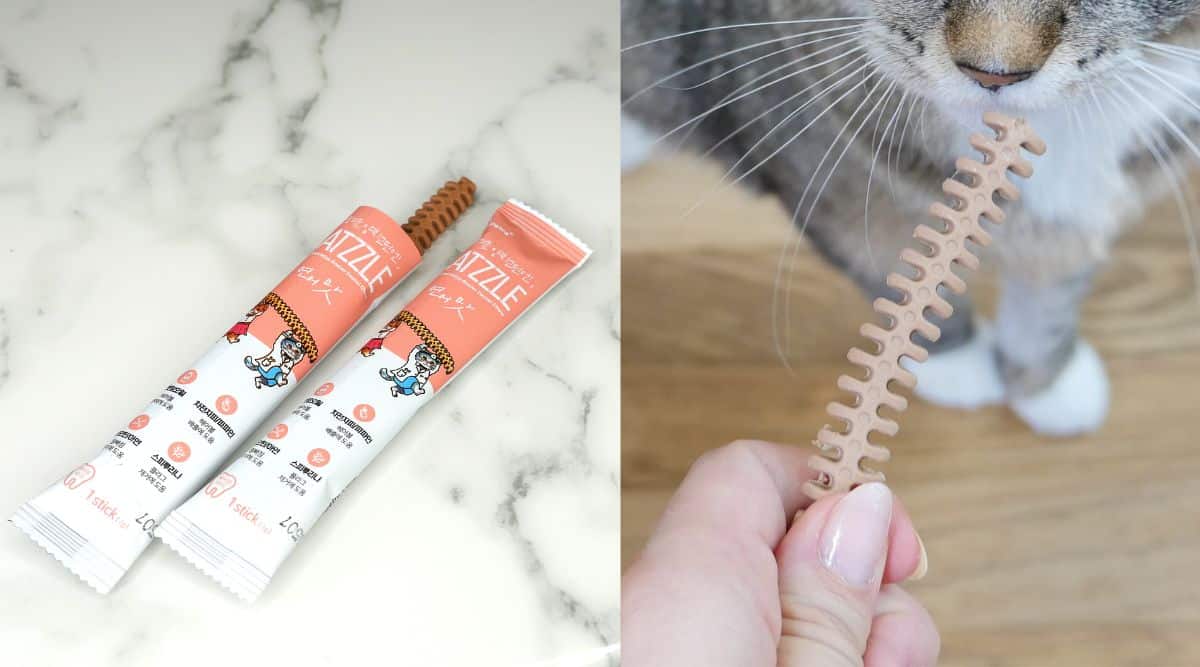 Best Dental Treats For Cats: For Dental Hygiene, Fresh Breath, & Tarter ...