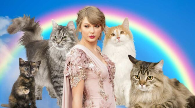 150+Taylor Swift Cat Names So Extra You’ll Want to Rename Yours ...