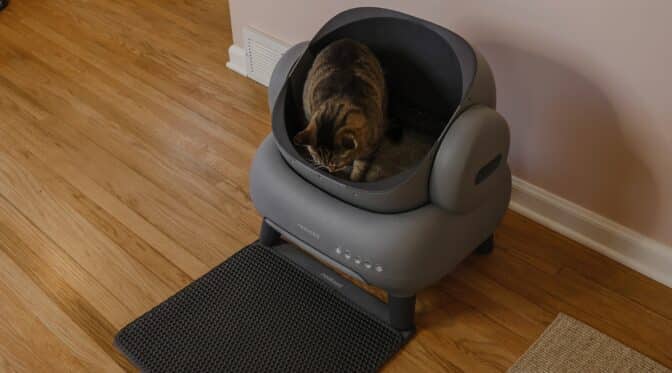 Neakasa Litter Box Reviews: My Cat's Self-Cleaning Experience - Love ...