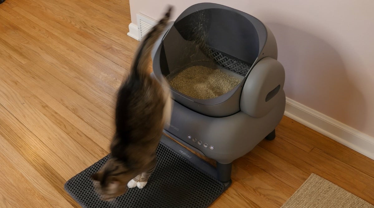 Neakasa Litter Box Reviews: My Cat's Self-Cleaning Experience - Love ...