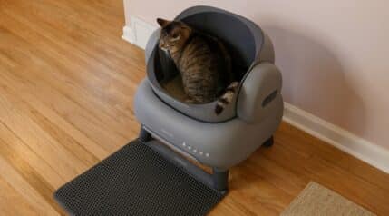 Neakasa Litter Box Reviews: My Cat's Self-Cleaning Experience - Love ...