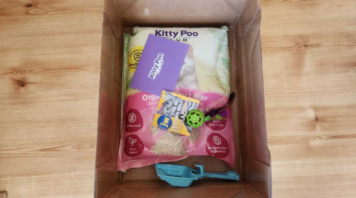 Kitty Poo Club Reviews: Is It Good? I Tested It To Find Out - Love Your Cat