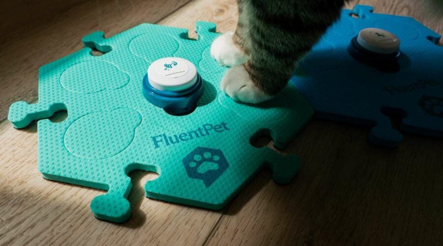 FluentPet For Cats Review: Do These Communication Buttons Work?