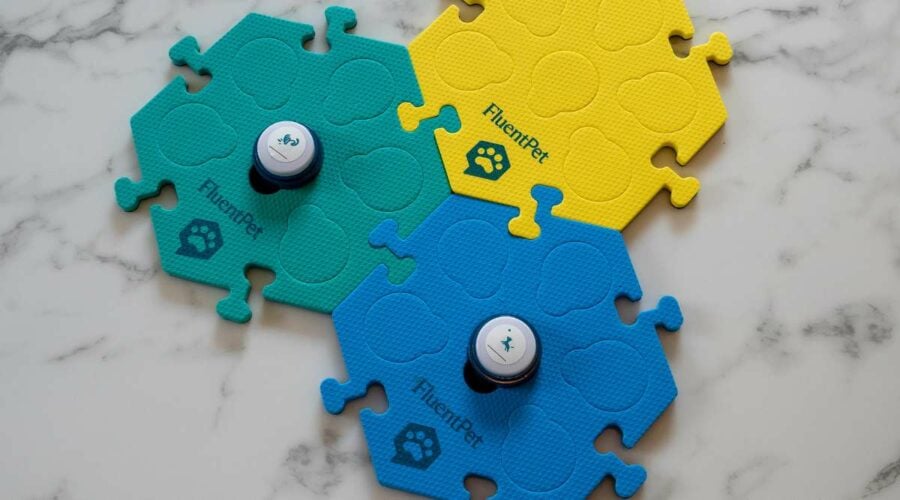 FluentPet For Cats Review: Do These Communication Buttons Work?