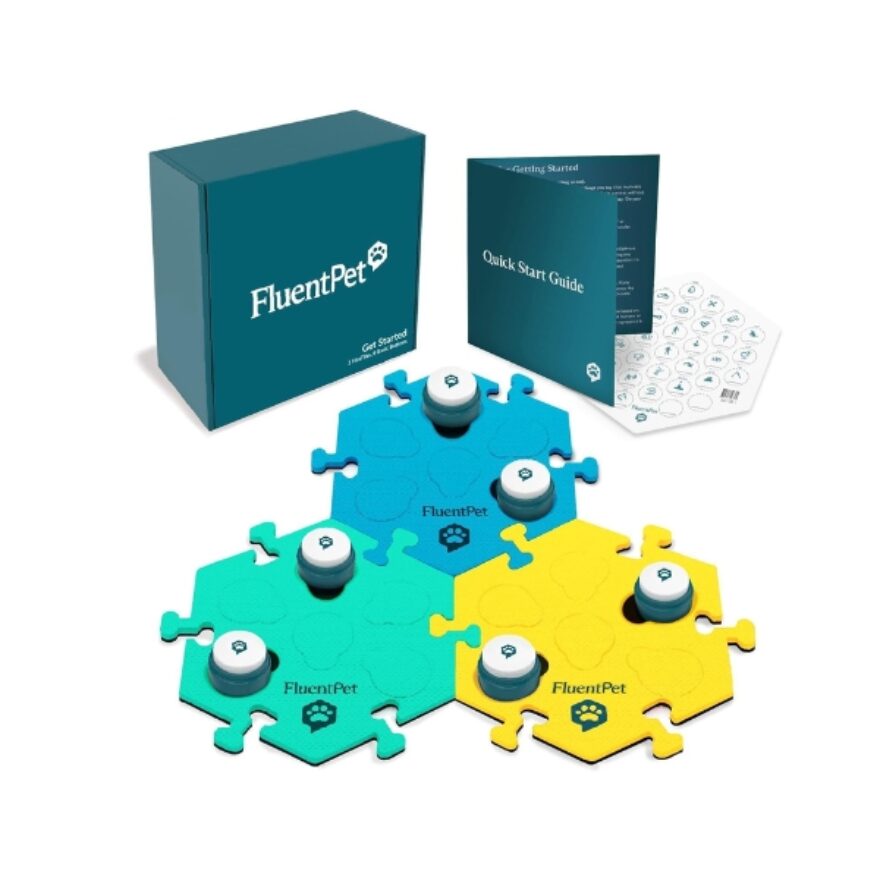 FluentPet For Cats Review: Do These Communication Buttons Work?