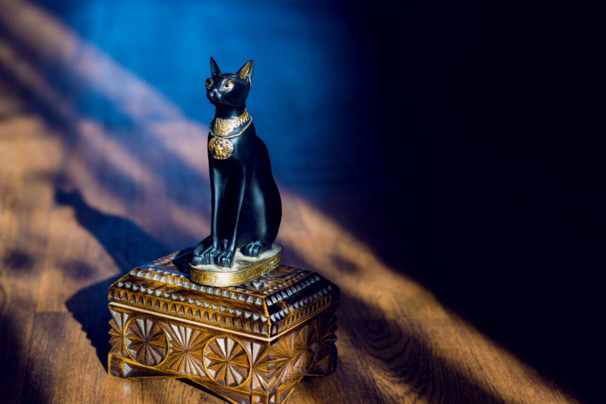 You’ve Heard Of Egyptian Cat Breeds: But How Many Are Actually Egyptian ...